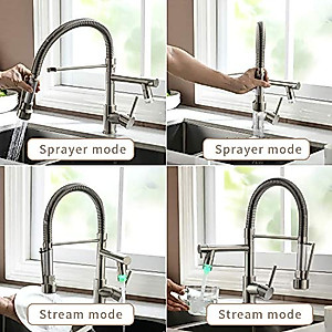 Fapully LED Kitchen Faucet with Sprayer,Single Handle Kitchen Faucet with Hole Cover Brushed Nickel