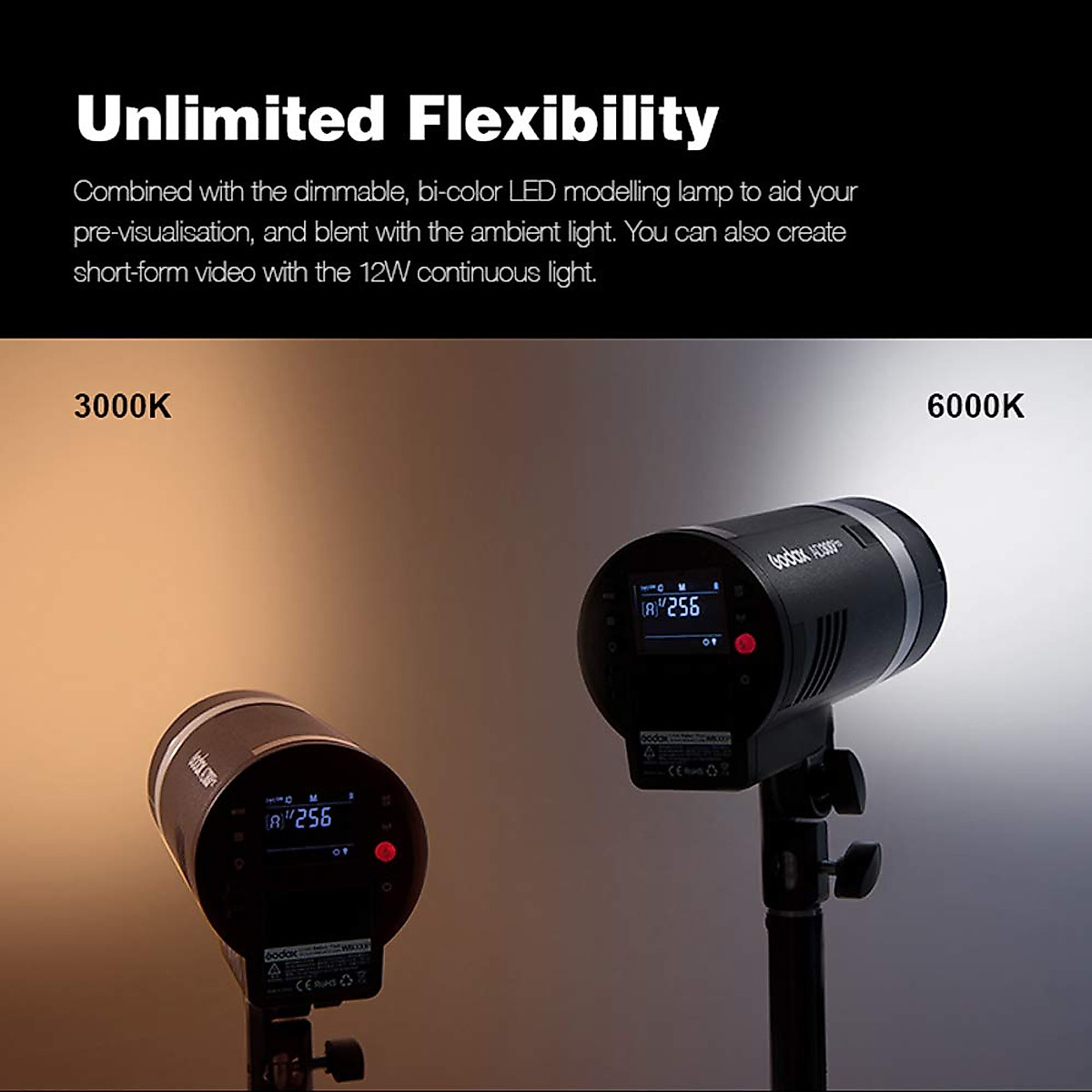 Godox AD300 Pro Outdoor Flash Strobe, 300Ws 2.4G TTL Flash Monolight, 1/8000 HSS, 2600mAh Lithium Battery, 12W Bi-Color LED Modeling Light for Wedding Portrait Studio Photography