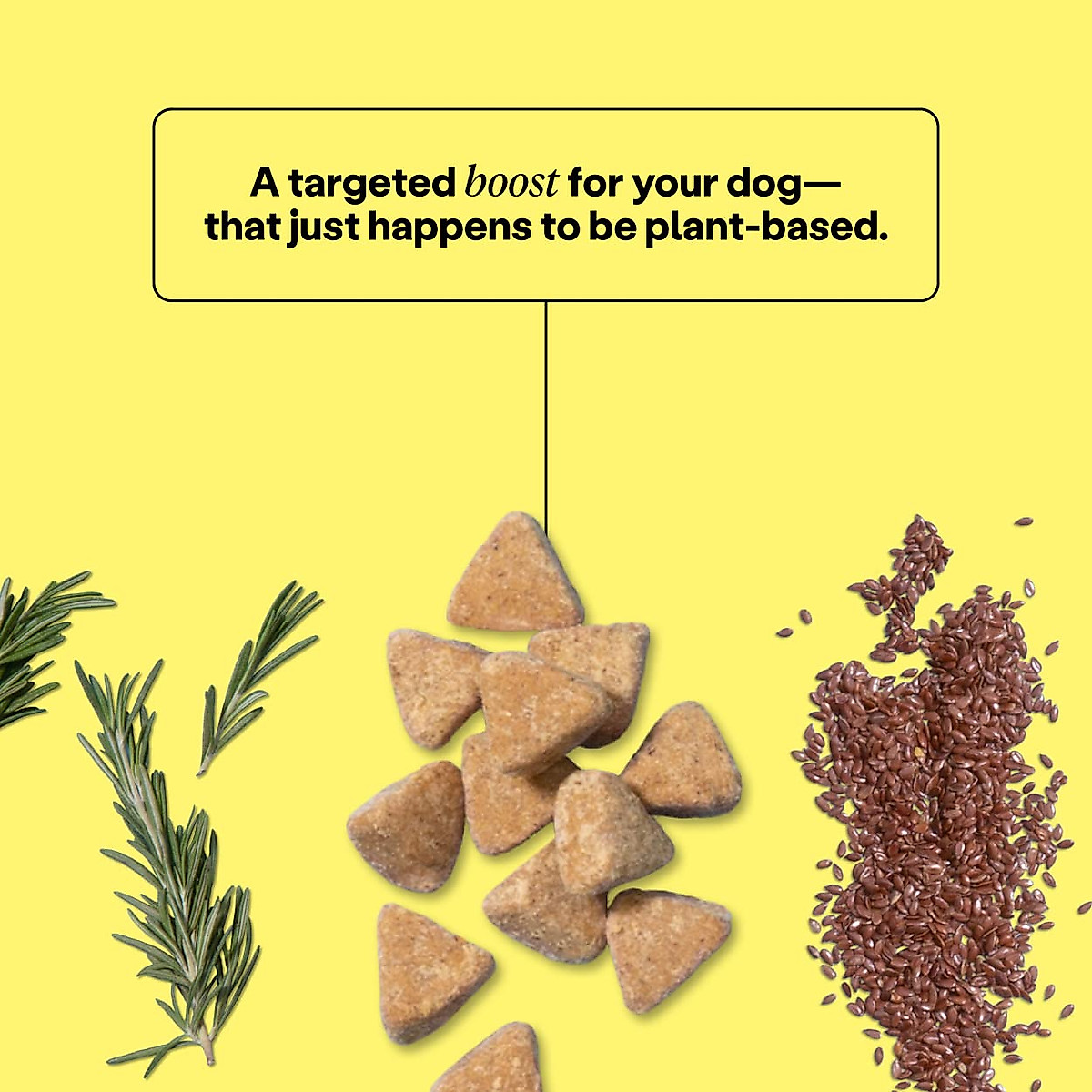 Wild Earth Dog Supplements, Soft Chews for Digestion & Immune Support, with Prebiotics, Probiotics & Enzymes, Veterinarian-Developed, Vegan