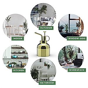 LOOPSEED Stainless Steel Plant Mister Spray Bottle Watering Can for Indoor Plants Succulent Bonsai Garden Spray Houseplant Spritzer Modern Garden Tools 10oz/300ml (GOLD)