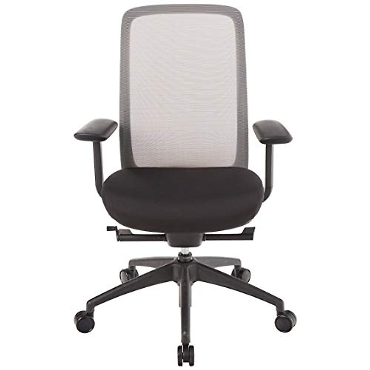 Eurotech Seating Vera Office Chair, Satellite