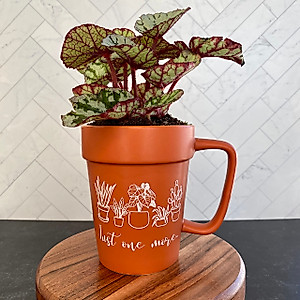 Plant Mug - Plant Gift - Plant Lady - Plant Lover Gift - Crazy Plant Lady - Coffee Lover Gift - Gift for Her - Gift for Mom - Garden Mug