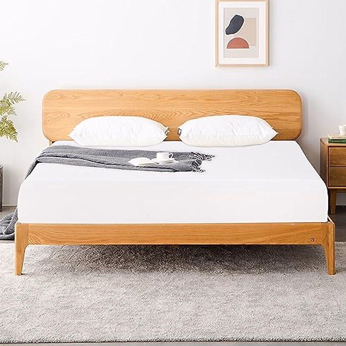 PayLessHere 6 Inch Queen Gel Memory Foam Mattress Fiberglass Free/CertiPUR-US Certified/Bed-in-a-Box/Cool Sleep & Comfy Support