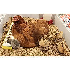 24 L Rowdy Rooster Hemp Animal Bedding