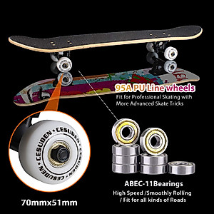 ANDRIMAX Skateboards-Complete Skateboards for Beginners Kids Boys Girls Adults Youth-Standard Skateboards 31’’x8’’ with 7 Lays Maple Deck Pro Skateboards, Longboard Skate Boards (Graffiti)