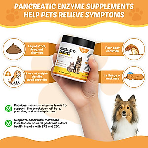 Pancreatic Enzymes for Dogs (8.8 Oz) | 10x Pancreatin Formula | Digestive Enzymes for Dogs with EPI | Helps Restore Normal Weight, Supports Digestive Stress and Pancreatic Issues