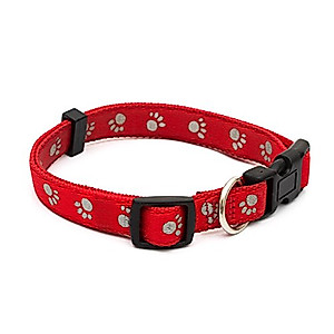 PAXCOO 60Pcs Swivel Snap Hooks and D Rings for Lanyard and Sewing Projects (1” Inside Width)