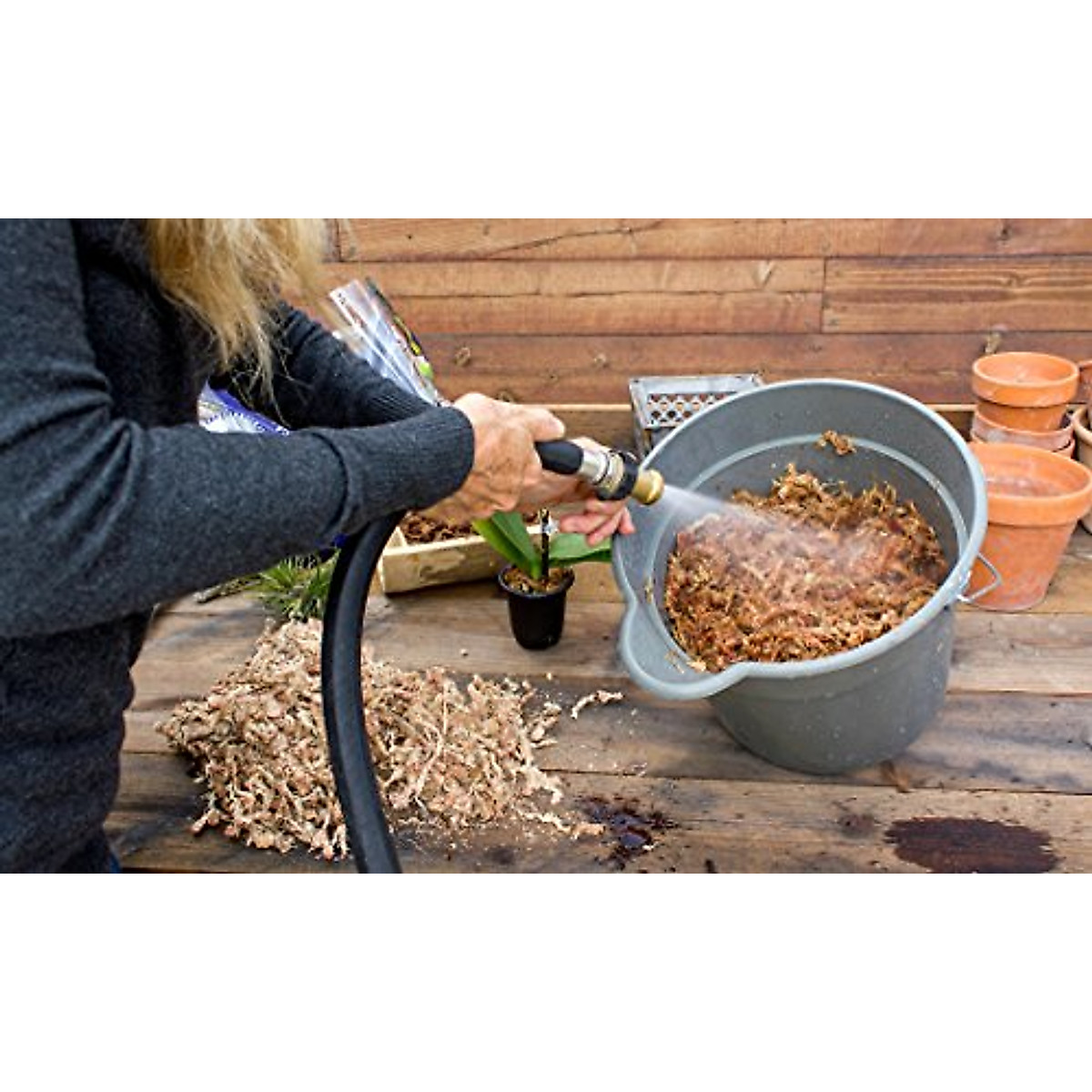 SuperMoss (22330) Orchid Sphagnum Moss Dried, Natural, 2.1lbs Small Bale