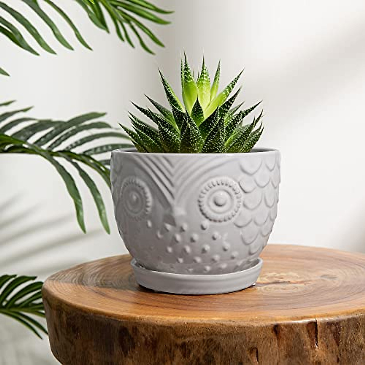 Greenaholics Owl Planters Ceramic Animal Plant Pots- 6.1 Inch White Succulents Aloe Planter Indoor Large Animal Flower Pots with Attached Tray and Drainage Hole for Cactus Snake Plant Decorative Gifts