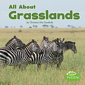 All About Grasslands (Habitats) (Little Pebble: Habitats)