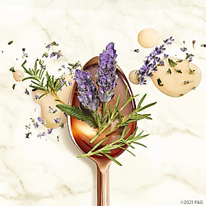 Hair Food Sulfate Free Conditioner, Dye Free Purifying Treatment, Tea Tree and Lavender, 17.9 Fl Oz