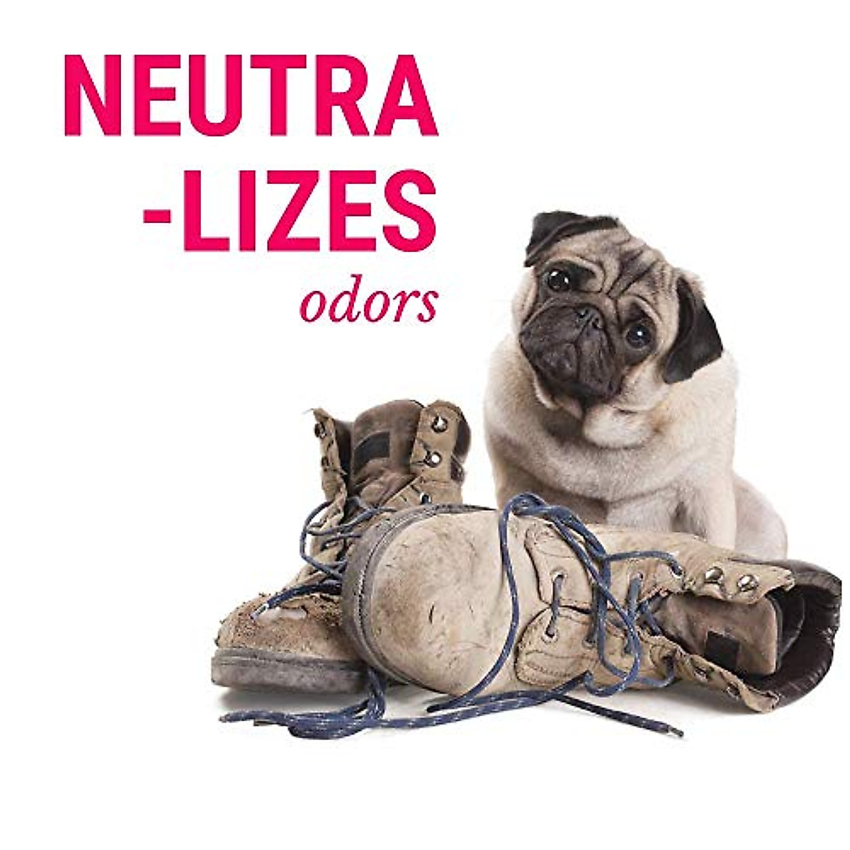 DogFresh Soothing, Cleansing, Dander Removing Spray for Dogs and Cats with Problem Skin