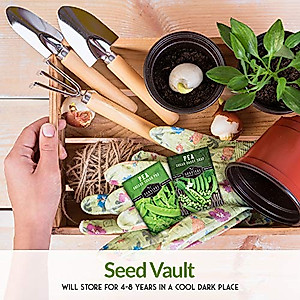 Survival Garden Seeds Sugar Peas Collection Seed Vault - Oregon Sugar Pod II Pea & Sugar Daddy Snap Pea - Non-GMO Heirloom Varieties to Grow Delicious Cool Weather Vegetables on Your Homestead