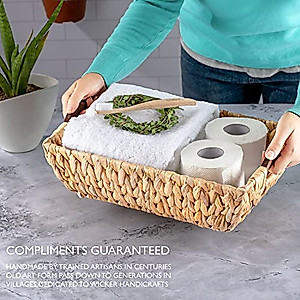 ADO Basics Large Water Hyacinth Hand Woven Basket with Stain Resistant Polished Wooden Handles, Storage Wicker Baskets 15" Length, 10.6" Width, 5.3" Height, Set of 2