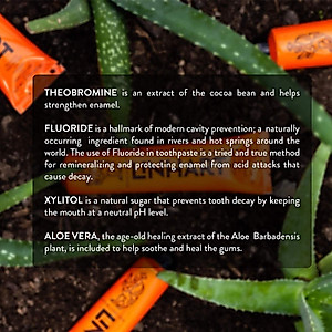 LINHART Whitening Toothpaste – Teeth Whitening, Enamel Strengthening Natural and Organic Toothpaste with Mint Flavor (3.5 oz)