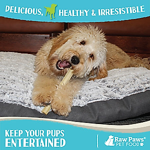 Raw Paws 10-inch Compressed Rawhide Sticks for Dogs, 20-ct - Pressed Rawhide Chews for Large Dogs & Medium Dogs - Safe Raw Hide Rolls - Natural Rawhide Dog Chew Long Lasting for Aggressive Chewers