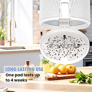 FVOAI Sticky Glue Board for Zap T3 H3 M3 Pro Fly Traps(Pack of 10)