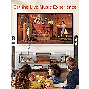 VANAUX Subwoofer Cable, 3.2ft Digital Coaxial Audio Cable, RCA to RCA Cables,Male to Male[20AWG,Gold-Plated,Braided Jacket] for Home Theater, HDTV, Amplifier Speaker Soundbar(1m/3.2ft)