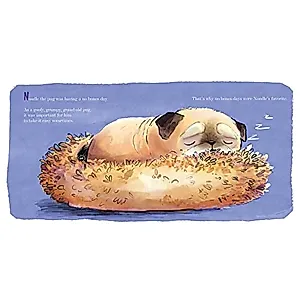 Noodle Conquers Comfy Mountain (Noodle and Jonathan)