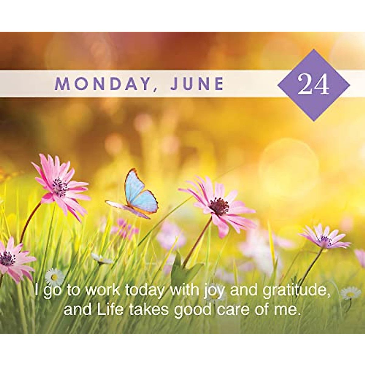 I Can Do It® 2024 Calendar: 366 Daily Affirmations