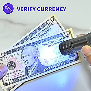 yikosam 5 Pcs UV Black Light Flashlights, 9 Led 395-400nm Mini Blacklight Handheld Portable Torch Pet Urine Detector for Bed Bug, Hair, Dog Cat Urine and Stains Batteries Included