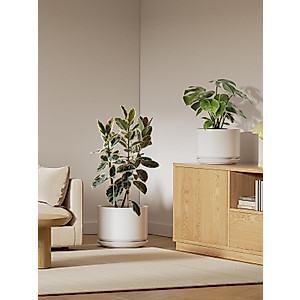 LE TAUCI 12 Inch Pots for Plants, Ceramic Pots for Indoor Plants, Plant Pots for Home & Office, Modern Flower Pots Fit Mid Century Plant Stand, Planters with Drainage Holes and Saucers, White