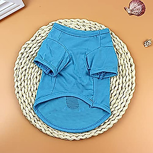 Pet Dog Clothes Halloween T-Shirt Puppy Costume Small Medium Dog Cat Apparel Cute Fashion Hoodie Trendy Sweatshirt