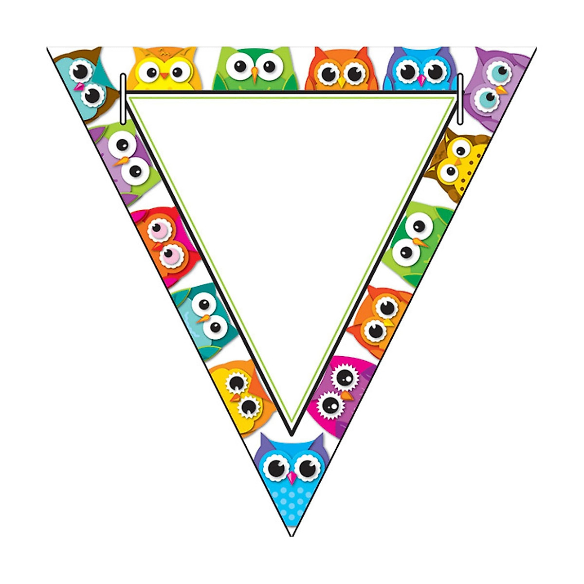 Carson Dellosa Banner, Colorful Owls (102038)