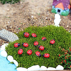 200 Pcs Mini Wooden Ladybugs Stickers with 3 Sizes for Fairy Garden Home Decor