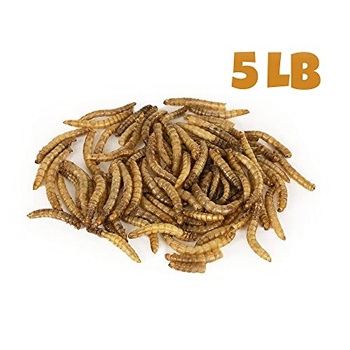 MBTP Bulk Dried Mealworms - Treats for Chickens & Wild Birds (5 Lbs)