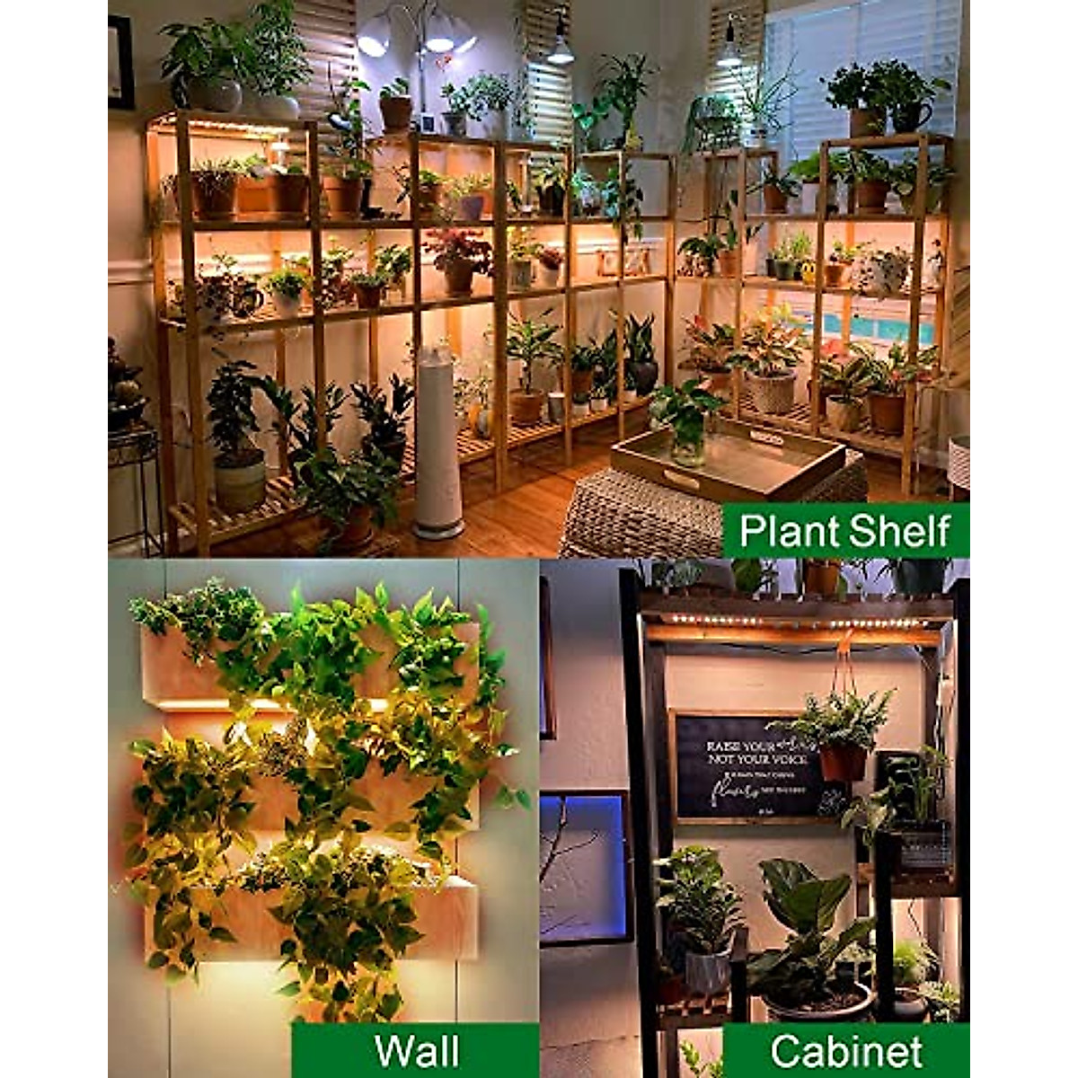 DOMMIA Grow Lights for Indoor Plants, 20W Full Spectrum LED Grow Light with Auto ON & Off Timer, 132 LEDs Sunlike Plant Light for Hydroponics, Succulents & More, Easy to Assemble（2Pcs）