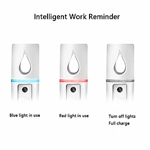 Nano Mist Sprayer - Makina Usb Charging Handheld Facial Beauty Skin Care Products Big Water Tank Ultrasonic Moisturizing Mini Nano Mister (L2White)