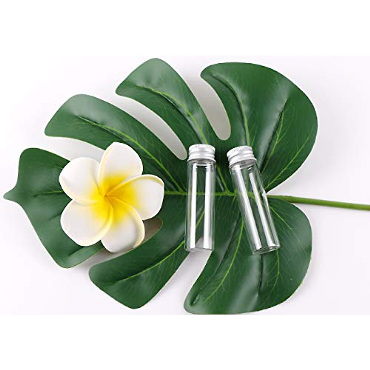 MaxMau 24 Glass Small Bottles 20ml Mini Jars with Screwed Metal Lids Clear Tiny Vials Aluminium Top Caps Sealed Storing Jewelry Beads Miniature Sample Bottle Wedding Favors Art Crafts DIY Decor