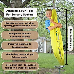 2 in 1 Kids Sensory Swing with Pillow | Kids Pod Swing & Autism Swing | Strong & Reversible Hanging Chair for Bedroom up to 200 lbs | Kids Hammock ADHD Chair | Sensory Swing for Kids Indoor Outdoor