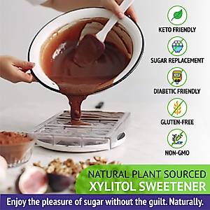 Xlear XyloSweet Non-GMO Xylitol Sweetener - Natural Sweetener Sugar Substitute, Granules, 5 Pound Bag (Pack of 1)