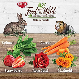 Kaytee Food from The Wild Natural Snack for Pet Rabbits, Guinea Pigs And Other Small Animals, 1 Ounce