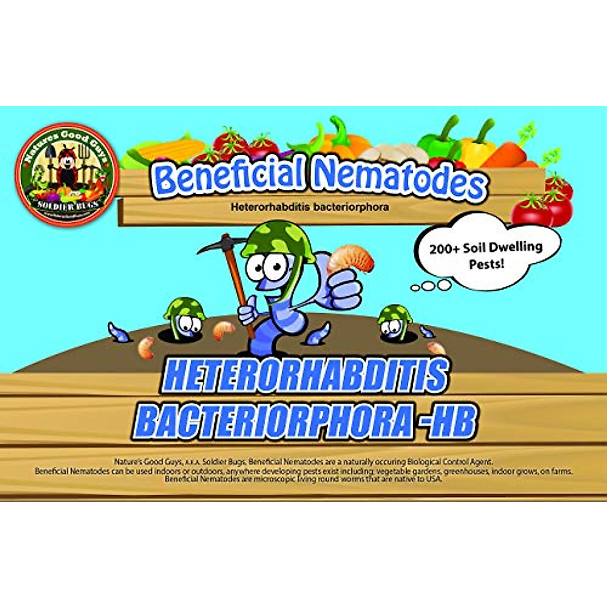 Bug Sales 50 Million Live Beneficial Nematodes - HB (Heterohabditis bacteriophora)