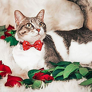 Pohshido Valentine's Cat Collar with Bow Tie and Bell, Holiday Breakaway Loving Heart Kitty Kitten Collar for Girls and Boys Male Female Cats (Love Song)