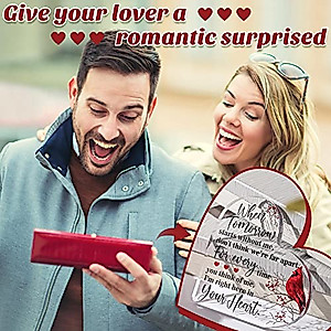 Yulejo Red Cardinal Gifts Sympathy Gifts Memorial Gift for Loss of Loved One Sympathy Decorations Acrylic Glass Heart Memorial Gift Table Centerpieces Remembrance Decor (Novelty Style)