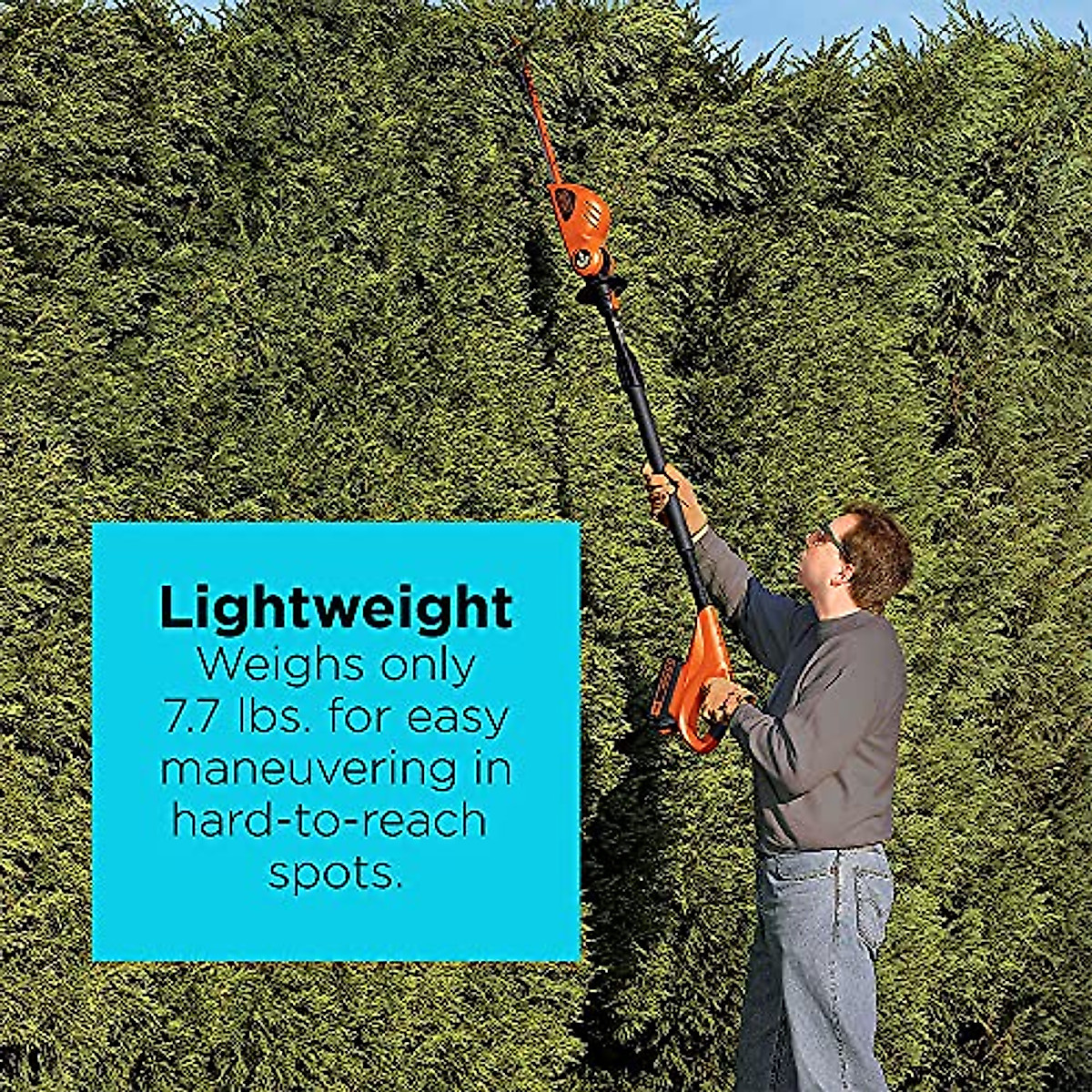 BLACK+DECKER 20V MAX Cordless Pole Hedge Trimmer, 18-Inch (LPHT120)