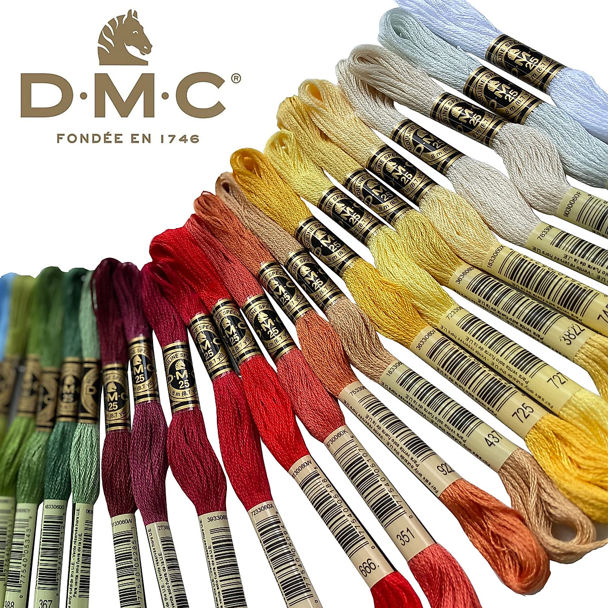 DMC Home Decor Embroidery Floss Set, Assortment Pack of 36 Cotton Thread Kit Bundle with Hand Embroidery Needle Size 3/9 and Threads of DMC Black/White.Cross Stitch String, Yarn Supplies