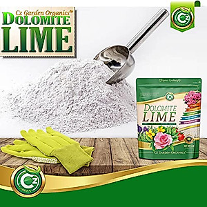 Organic Dolomite Lime - Made in USA Garden Soil Amendment Fertilizer for Plants. Calcium/Magnesium Additive. Safely Raise & Stabilize pH - Earthbox. 100% Water Soluble.