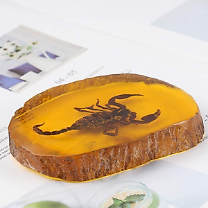Garneck Amber Fossil Insect,Artificial Amber Insect Specimen Pendant Butterfly Scorpions Insects Amber Stone Ornament for Collection(Scorpion)