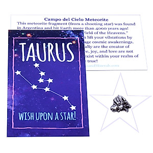 DANCING BEAR Taurus Zodiac Healing Crystals Gift Set (14 Pc): 9 Stones, 18K Gold-Plated Constellation Necklace, Meteorite, Succulent Candle, Palo Santo Smudge Stick & Info Guide, Made in The USA