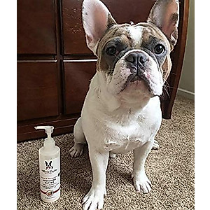 Warren London Hydrating Butter Leave In Pet Conditioner for Dogs | Lotion for Skin and Coat | Aloe Puppy & Dog Conditioner for Hair Detangler, Dry Skin, & Pet Fur Dandruff | Use After Dog Shampoo & Bathing | Made in USA | Guava 8oz