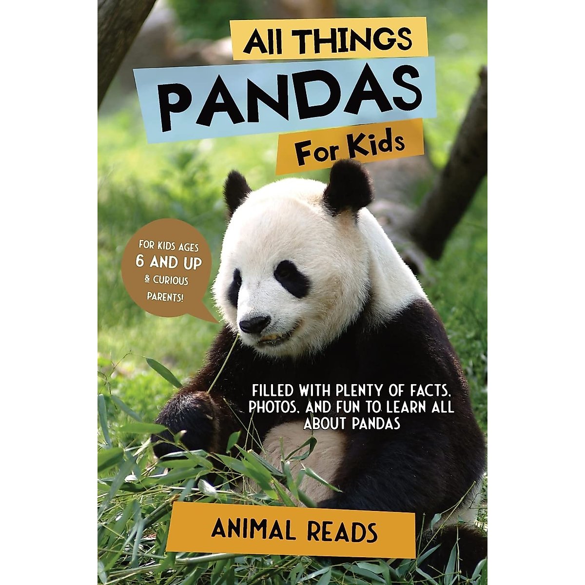 All Things Pandas For Kids: Filled With Plenty of Facts, Photos, and Fun to Learn all About Pandas