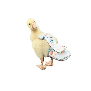 HEZHUO Duck Diapers, Chicken Diapers, Special Diapers for Poultry, Chicken, Duck and Goose Waterproof, Adjustable, Washable and Reusable Diapers，Poultry Supplies, Duck Supplies (M:200g-250g)