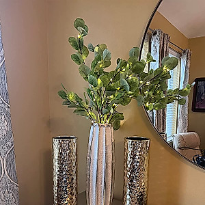 Lightshare 30IN Lighted Eucalyptus Branches 38LED with Timer Battery Operated Lit Artificial Twig for Wedding Holiday Party Christmas Home Decoration, Dark Green