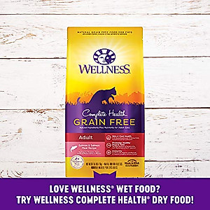 Wellness Complete Health Natural Grain Free Wet Canned Cat Food, Minced Salmon Entree, 3-Ounce Can (Pack of 24)