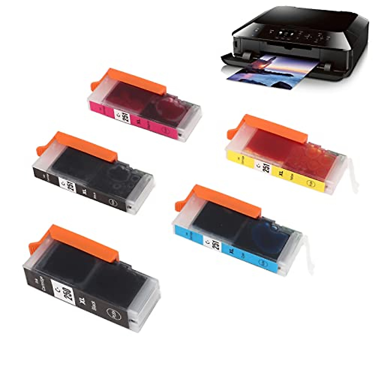 FTVOGUE 250‑251 Multi Colors Ink Cartridge Replacement Printer Inkjet Cartridges for PIXMA (BK BK C M Y 5 Colors)